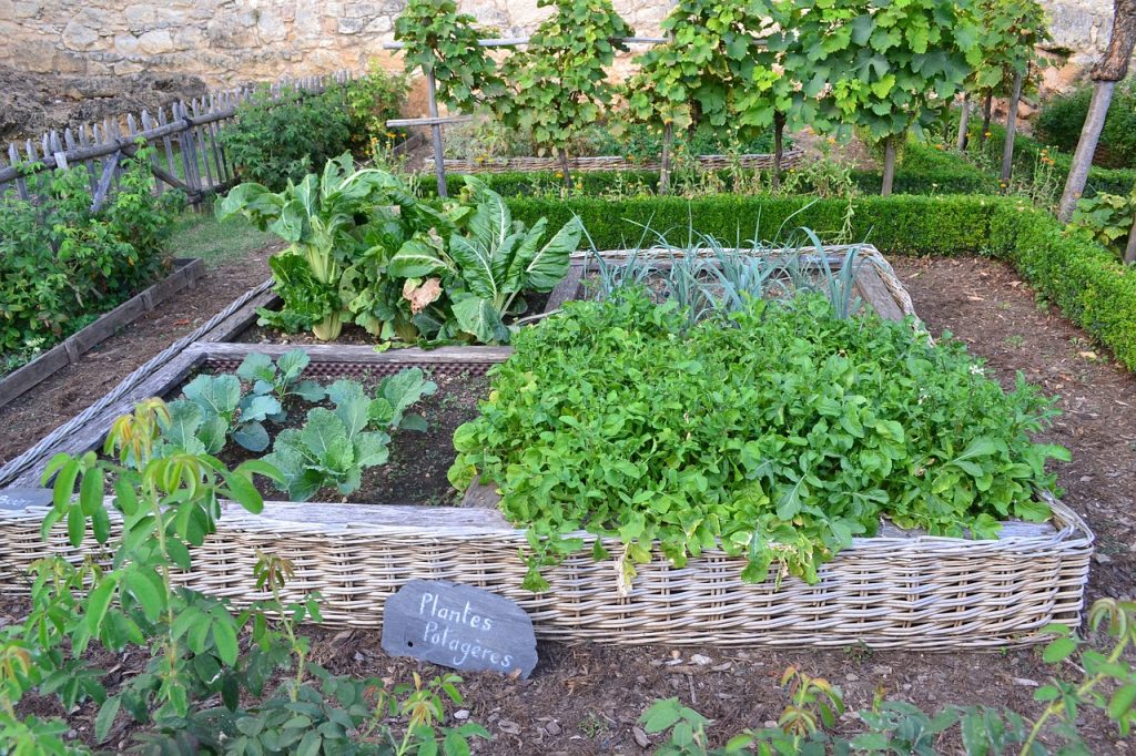5 conseils pour créer votre potager - Idées Et Astuces Pour Vos Projets ...